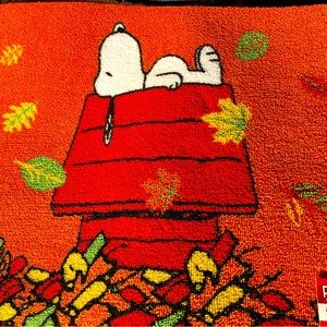 Peanuts | Accents | Snoopy Fall Rug | Poshmark